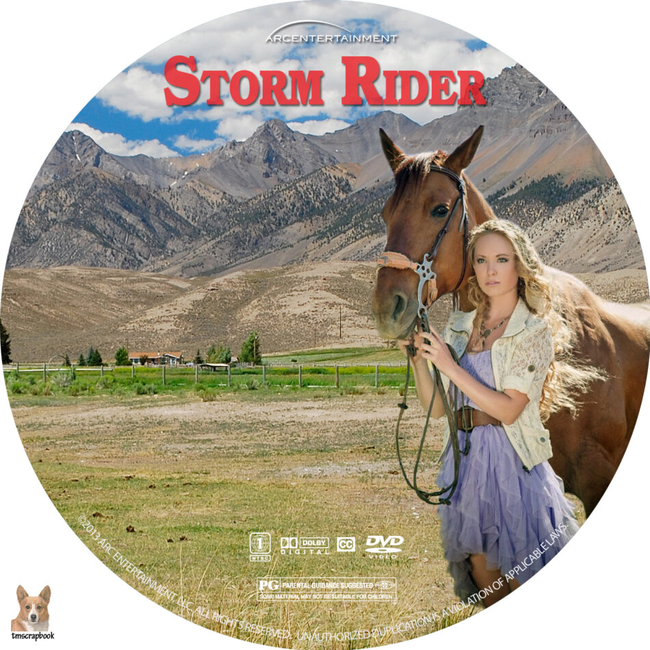 Storm Rider dvd cover & label (2013) R1 Custom