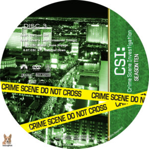 CSI: Crime Scene Investigation - Season 10 dvd cover & labels (2010) R1 ...