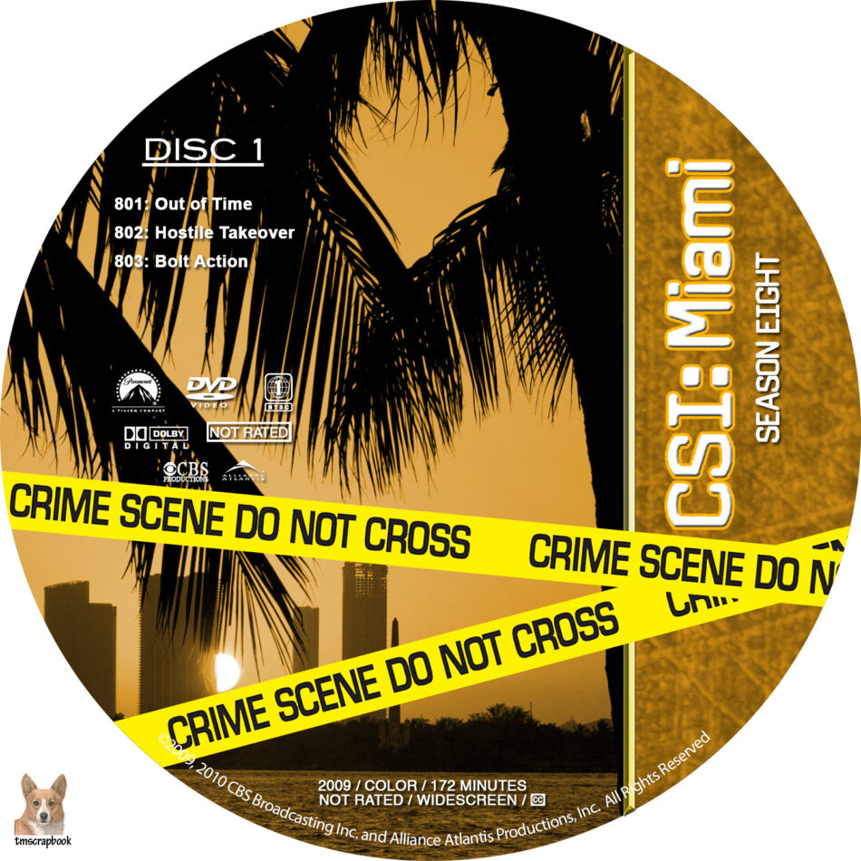 CSI: Miami - Season 8 dvd cover & labels (2010) R1 Custom