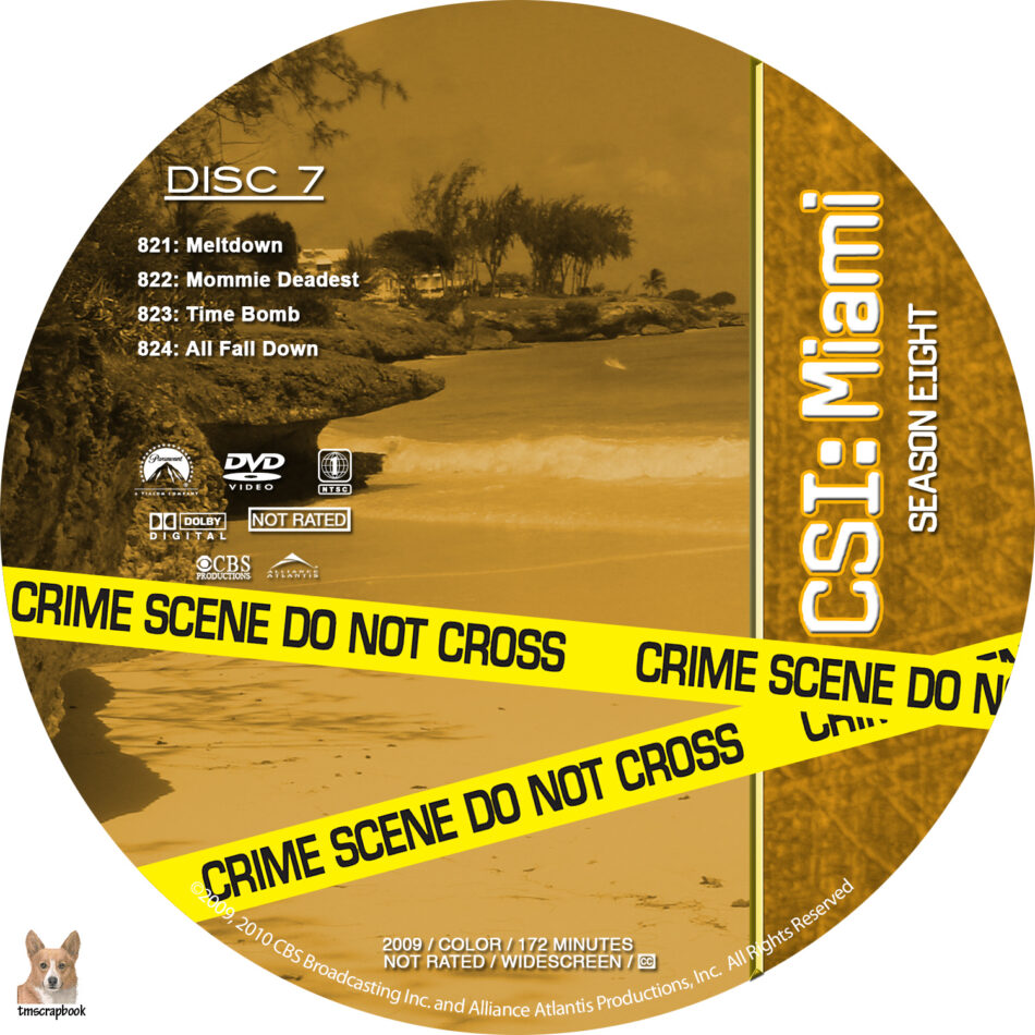 CSI: Miami - Season 8 dvd cover & labels (2010) R1 Custom