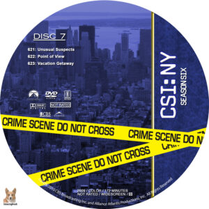 CSI: NY - Season 6 dvd cover & labels (2010) R1 Custom
