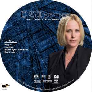 CSI: Cyber - Season 2 dvd covers & labels (2016) R1 Custom