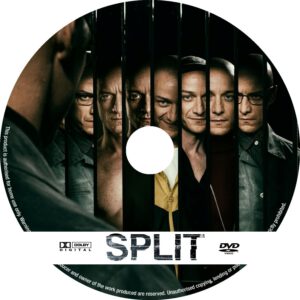 Split dvd cover & label (2017) R0 CUSTOM