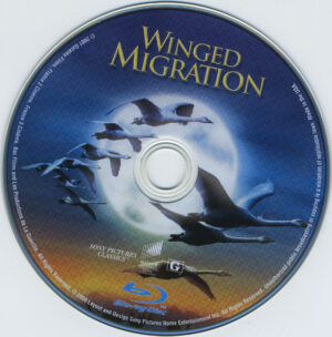 Winged Migration (2009) R1 Blu-Ray Cover & Label - DVDcover.Com