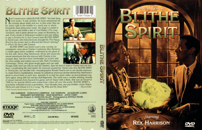Spirit: Untamed (2021) R1 Custom DVD Label - DVDcover.Com