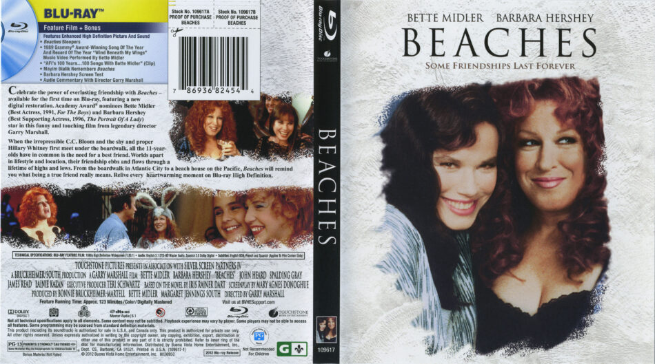 Beaches (2012) Blu-Ray Cover & Label - DVDcover.Com