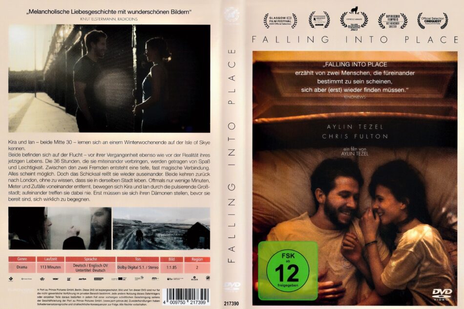 FALLING DOWN (1993) R1 DVD COVER & LABEL - DVDcover.Com