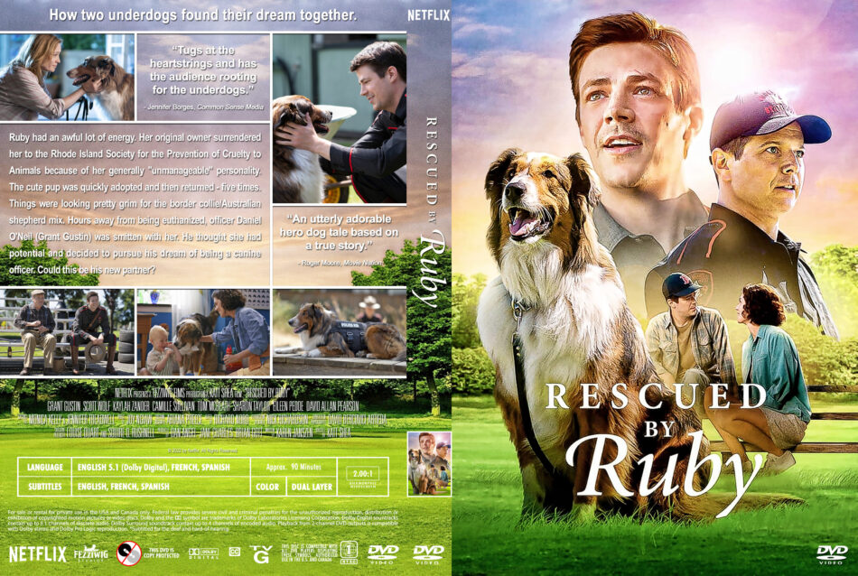 DVDcover.com - Free DVD Covers and Blu-ray Cover Art