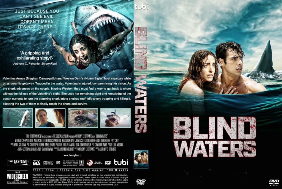 Blind Waters (2023) R1 Custom DVD Cover & Label - DVDcover.Com